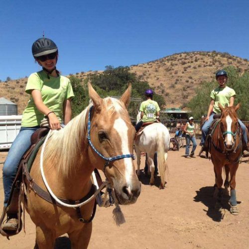 Copper Horse Riding Ranch - Horseback Riding - Visit Santa Clarita