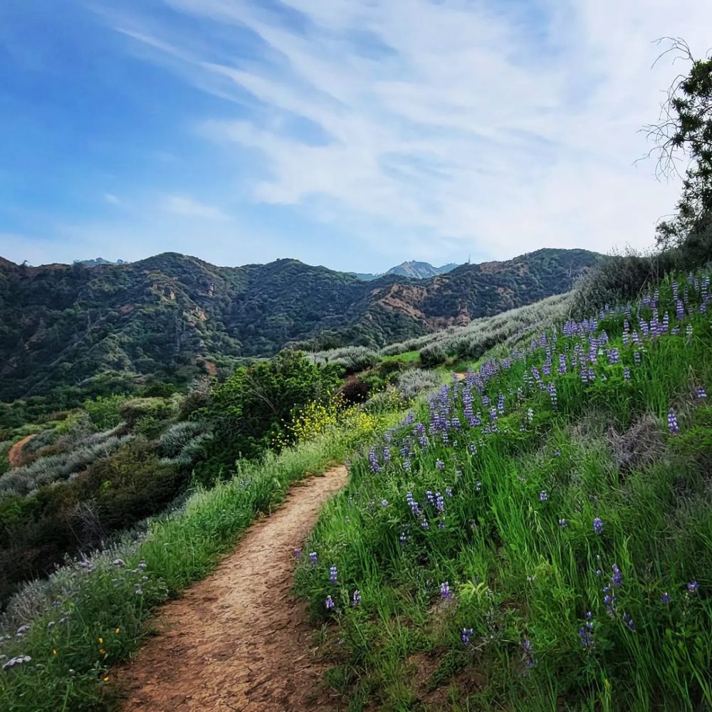 Hike Santa Clarita - Visit Santa Clarita
